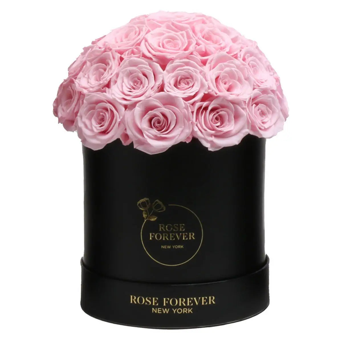 Pink Roses Dome 35 – Amanda Jean NYC